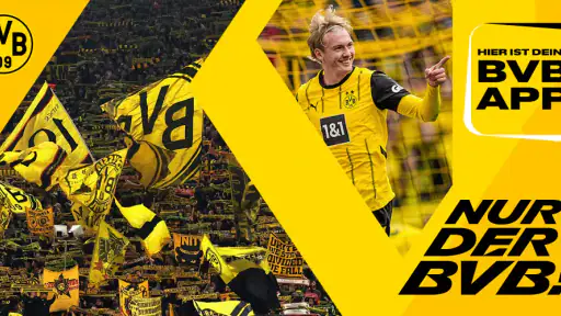 BVB App - Reviewed