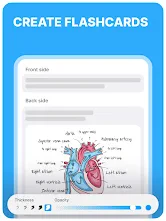 Anki Pro: Flashcards Learning App - Reviewed