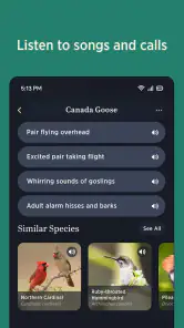 Audubon Bird Guide App - Reviewed