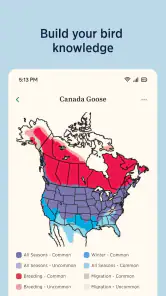 Audubon Bird Guide App - Reviewed