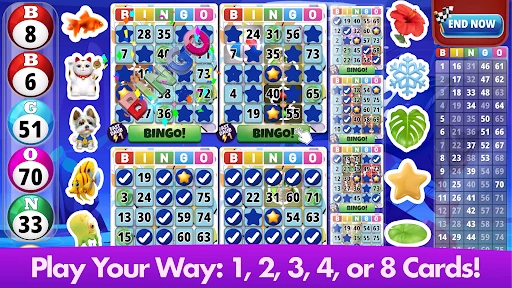 Bingo Classic - Bingo Games Game - Reviewed