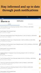 Brightspace Pulse App - Reviewed