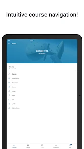 Canvas Student App - Reviewed