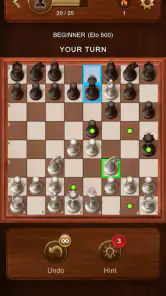Chess Master: Board Game Game - Reviewed