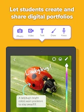 ClassDojo App - Reviewed