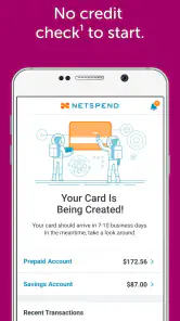 Classic Netspend App - Reviewed