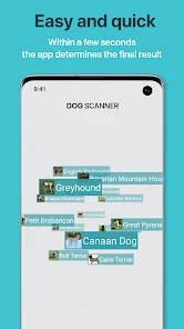 Dog Scanner: Breed Recognition App - Reviewed