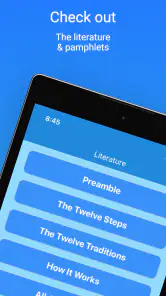 Everything AA App - Reviewed