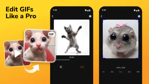 GIF Maker, Video to GIF Editor App - Reviewed