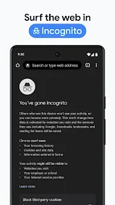 Google Chrome App - Reviewed