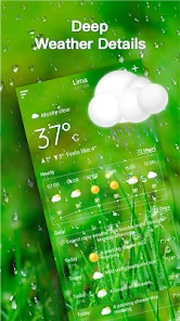 Live Weather Forecast App - Reviewed