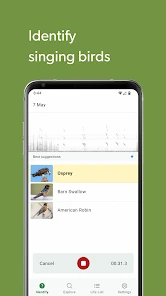 Merlin Bird ID by Cornell Lab App - Reviewed