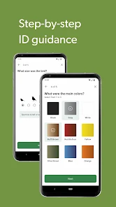 Merlin Bird ID by Cornell Lab App - Reviewed