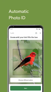 Merlin Bird ID by Cornell Lab App - Reviewed