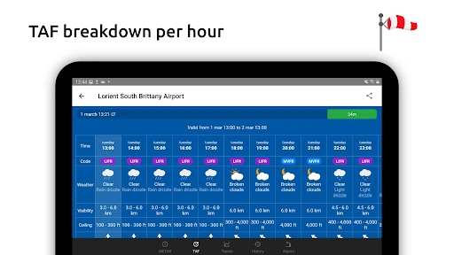 Metar-Taf - Visual decoder App - Reviewed