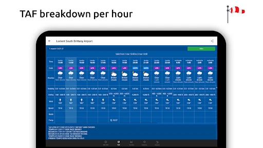 Metar-Taf - Visual decoder App - Reviewed