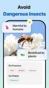 Picture Insect: Bug Identifier App - Reviewed