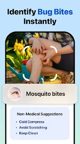 Picture Insect: Bug Identifier App - Reviewed