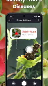 PlantIn Plant Identifier, Care App - Reviewed