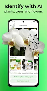 PlantSnap: plant identifier App - Reviewed
