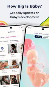 Pregnancy App & Baby Tracker App - Reviewed