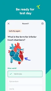 Quizlet Study With Flashcards App Reviewed