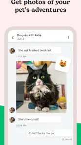 Rover - Dog Boarding & Walking App - Reviewed