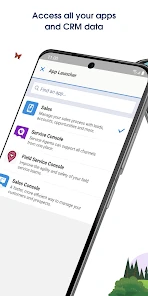 Salesforce App - Reviewed