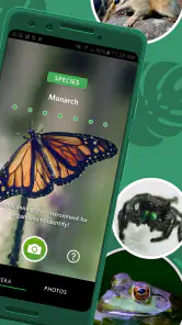 Seek by iNaturalist App - Reviewed