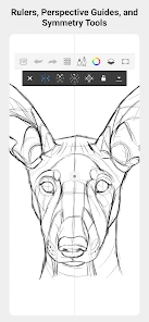 Sketchbook App - Reviewed
