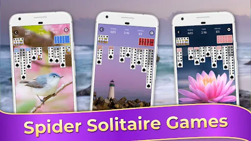 Spider Solitaire Classic Games Game - Reviewed