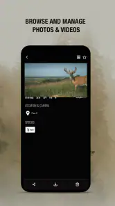 SPYPOINT App - Reviewed