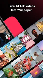 TickTock-TikTok Live Wallpaper App - Reviewed