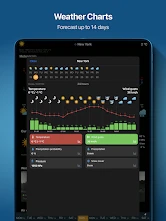 Ventusky: Weather & Live Radar App - Reviewed