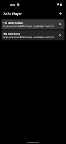 ZoZo Player - URL Video Player App - Reviewed