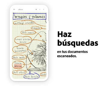 Aplicación Adobe Acrobat Reader para PDF - Reviewed