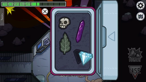 Application Among Us - Reviewed