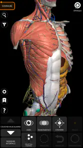 Application Anatomie - Atlas 3D - Reviewed