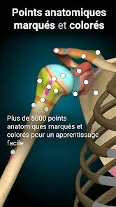 Application Anatomy Learning - Anatomie 3D - Reviewed