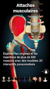 Application Anatomy Learning - Anatomie 3D - Reviewed