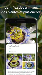 Application Google Lens - Reviewed