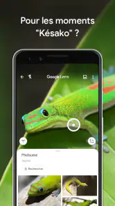 Application Google Lens - Reviewed