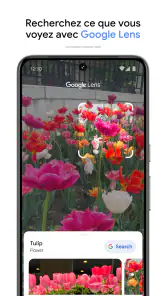 Application Google Photos - Reviewed