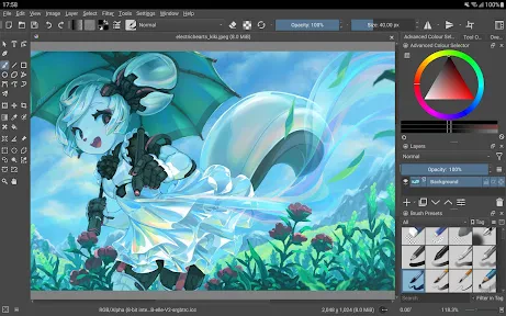 Application Krita - Reviewed