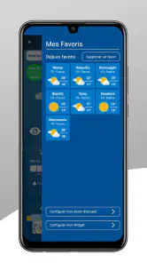 Application Météo-France - Reviewed