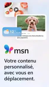 Application MSN - Reviewed