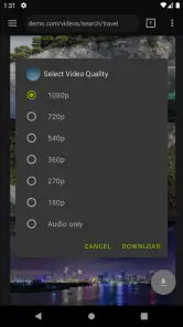 Application Video Downloader Pro - Reviewed