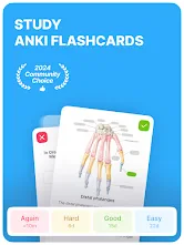Anki Pro: Flashcards Learning App - Reviewed