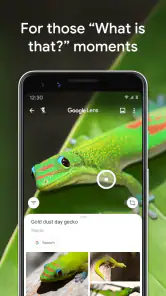 Google Lens App - Reviewed