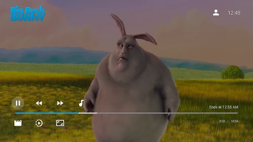 Jellyfin for Android TV App - Reviewed